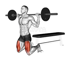 Sentadilla con barra - Guía en Video | Lyfta