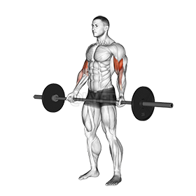 Standing Wide-grip Curl - Video Guide | Lyfta