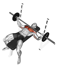 Barbell Wide Bench Press - Video Guide | Lyfta