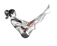 Boat Stretch - Video Guide | Lyfta