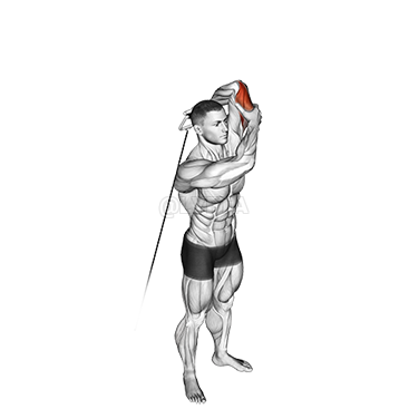 Cable Alternate Triceps Extension - Video Guide | Lyfta