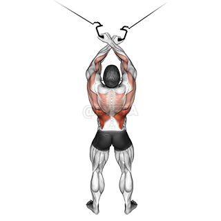 Cable Cross-over Lateral Pulldown - Video Guide | Lyfta