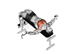 Decline Fly - Video Guide | Lyfta