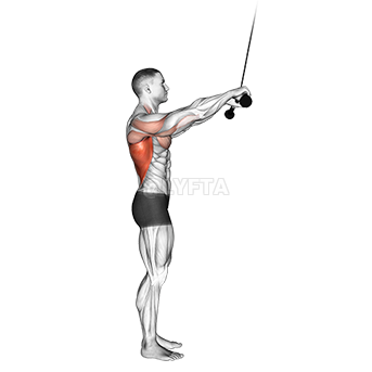 Pushdown - Video Guide | Lyfta