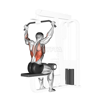 Rear Pulldown - Video Guide | Lyfta