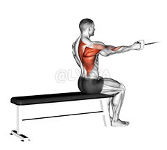 Cable Seated One Arm Alternate Row - Video Guide | Lyfta
