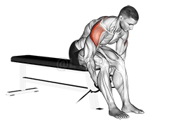 Sittende lateral heving bak - Videoveiledning | Lyfta