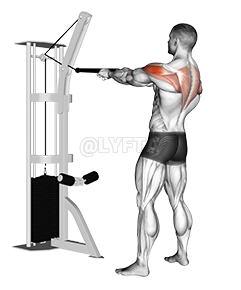 Cable Standing Rear Delt Row - Video Guide | Lyfta