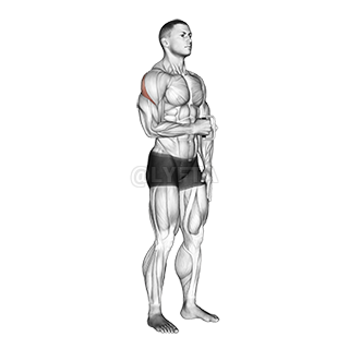 Rotación externa del hombro de pie - Guía en Video | Lyfta