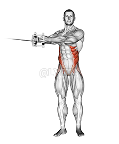 Cable Twist - Video Guide | Lyfta