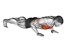 Clock Push-Up - Video Guide | Lyfta