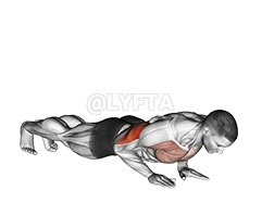 Close-grip Push-up - Video Guide | Lyfta