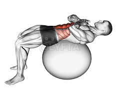 Crunch - Video Guide | Lyfta