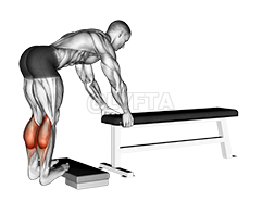 Donkey Calf Raise - Video Guide | Lyfta