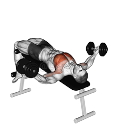 Dumbbell Decline Twist Fly - Video Guide | Lyfta