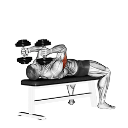 Dumbbell Lying Triceps Extension - Video Guide | Lyfta