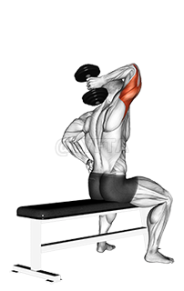 Dumbbell One Arm Triceps Extension - Video Guide | Lyfta