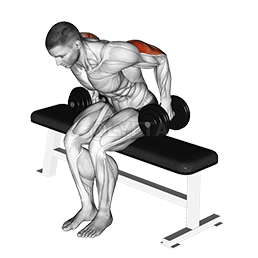 Dumbbell Seated Kickback - Video Guide | Lyfta