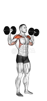 Potisak bučicama iznad glave - Video Vodič | Lyfta