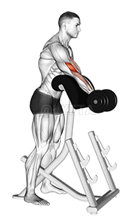 Dumbbell Standing Preacher Curl - Video Guide | Lyfta