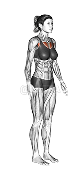 Elbows Back Stretch - Video Guide | Lyfta