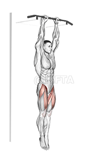 Hanging Straight Leg Raise - Video Guide | Lyfta