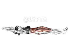 Abdominales tipo Jack Split - Guía en Video | Lyfta
