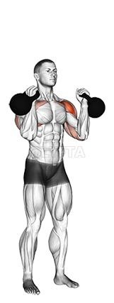 Prensa Alternada Kettlebell - Guia em Vídeo | Lyfta