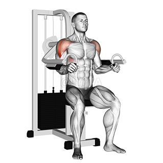 Lever Lateral Raise - Video Guide | Lyfta