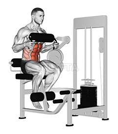 Lever Seated Crunch - Video Guide | Lyfta
