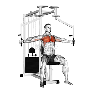 Lever Seated Fly - Video Guide | Lyfta