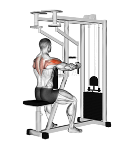 Lever Seated Reverse Fly - Video Guide | Lyfta