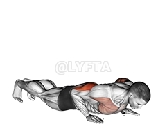 Reverse Dip - Video Guide | Lyfta