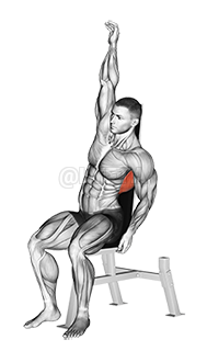 Seated Lower Back Stretch - Video Guide | Lyfta