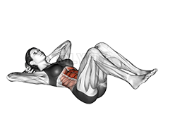 Sit-Up - Video Guide | Lyfta