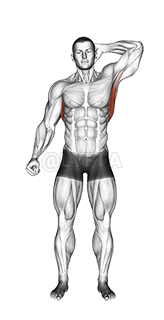 Standing Lateral Stretch - Video Guide | Lyfta