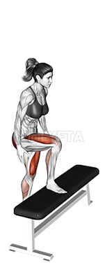 Step-up - Video Guide | Lyfta