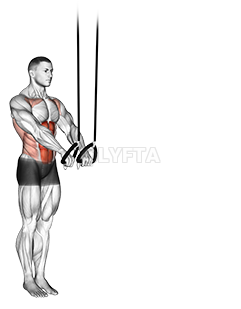 Suspended Abdominal Fallout - Video Guide | Lyfta