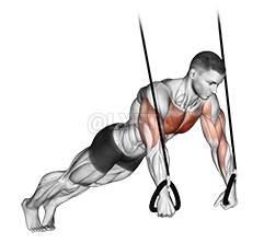 Suspended Push-Up - Video Guide | Lyfta