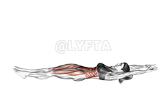 V-up - Video Guide | Lyfta