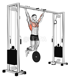 Weighted Pull-Up - Video Guide | Lyfta