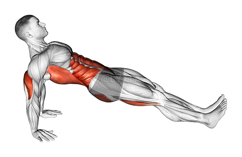 Reverse plank - Video Guide | Lyfta