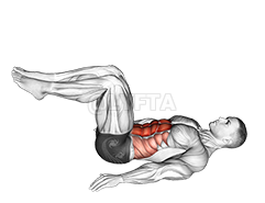 Reverse Crunch - Video Guide | Lyfta