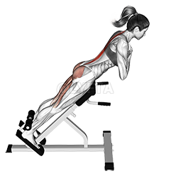 45 degree hyperextension - Video Guide | Lyfta