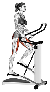 Lever stepper - Video Guide | Lyfta