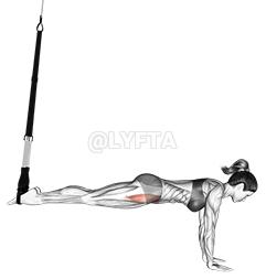 Suspension Mountain Climber - Video Guide | Lyfta