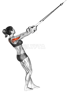 Suspension Reverse Fly - Video Guide | Lyfta