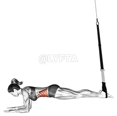 Suspension Crunch - Video Guide | Lyfta