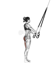 Suspension Single Leg Deadlift - Video Guide | Lyfta