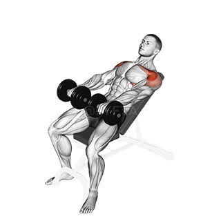 Incline Front Raise - Video Guide | Lyfta